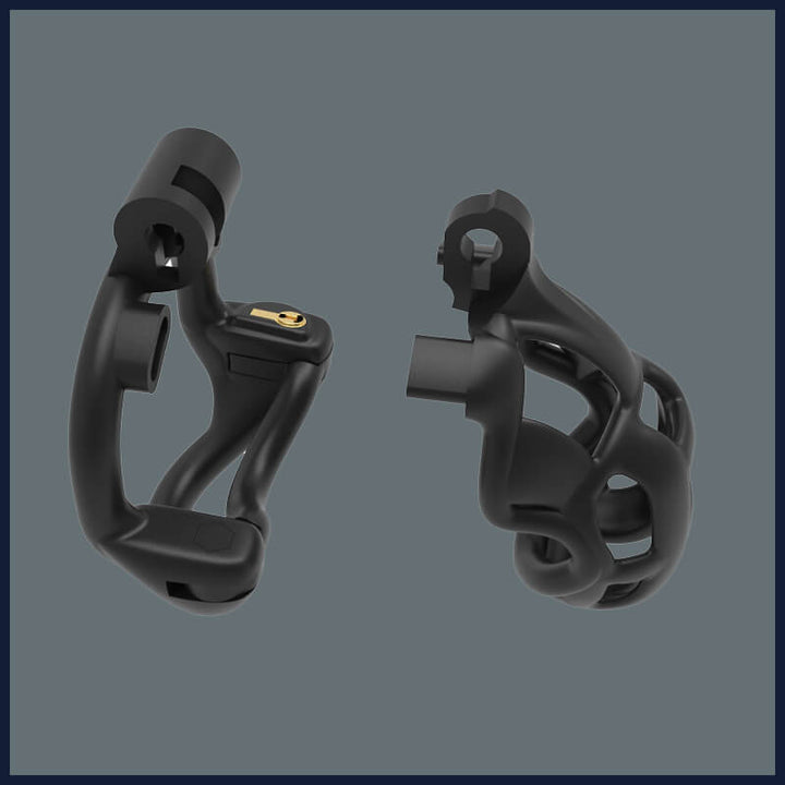 New 3D Print Double Lock Chastity Device – chastity-devices